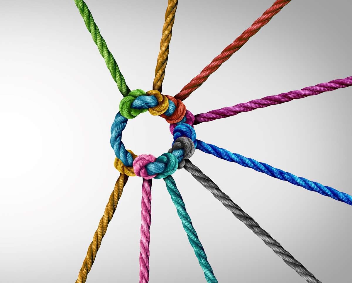 Andrea Kelly and Terri Dempsey Appointed Chair and Vice-Chair of the ...